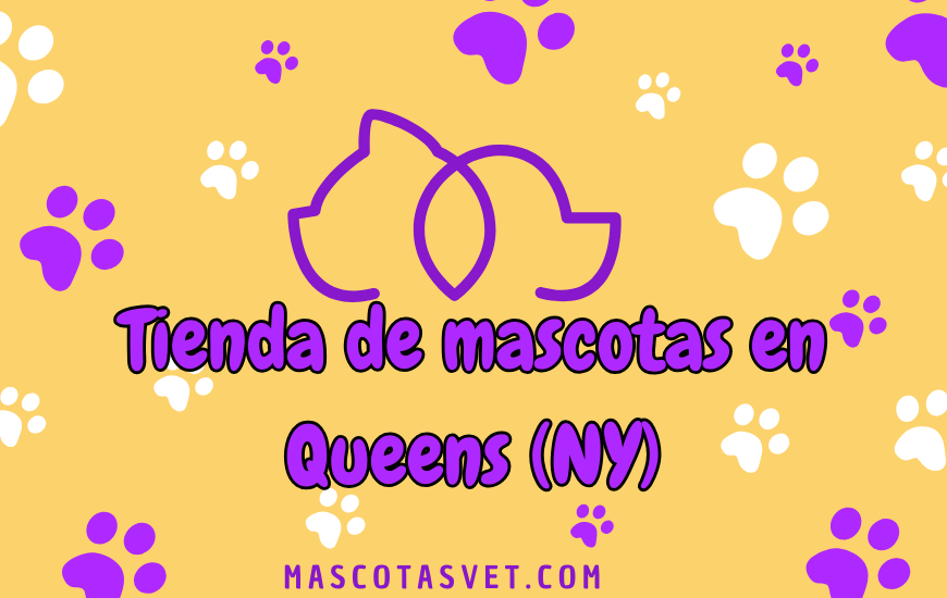 ᐉ Tiendas de mascotas en Queens, NY 》ABIERTAS AHORA《
