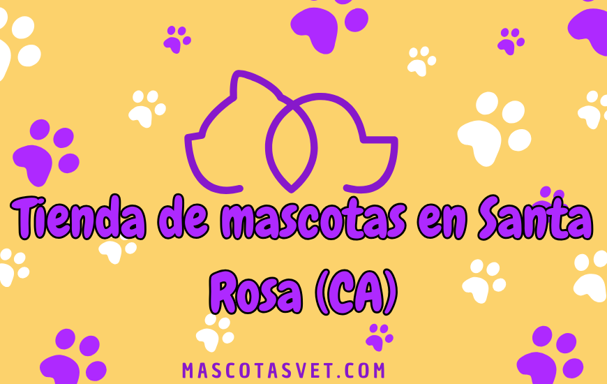 ᐉ Tiendas de mascotas en Santa Rosa, CA 》ABIERTAS AHORA《